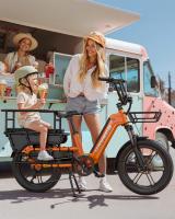 China German Warehouse HovCart EU/US/AU Stock Electric City Cargo Bike for Two Children with Protection Seat Torque Sensor Fat Tire for sale
