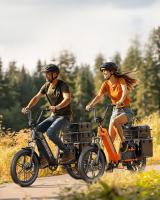 China German Warehouse HovCart EU/US/AU Stock Electric City Cargo Bike for Two Children with Protection Seat Torque Sensor Fat Tire for sale