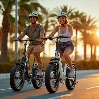 China For TST  750w Full Suspension Electric Bicycle 48V 15Ah Integrated Battery All Terrain  Fat Tire Folding Ebike for sale