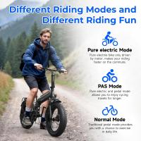 China 250W 36V Foldable Electric Bike 20 Inch with 10.4Ah Battery - Lightweight Folding E-Bike for Commuting/City Adults for sale