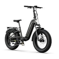 China All Terrain Folding Fat Tire Electric Bike 20x4