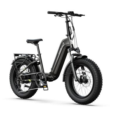 China All Terrain Folding Fat Tire Electric Bike 20x4