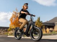 China All Terrain Folding Fat Tire Electric Bike 20x4