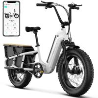 China Electric Bike 20 Inch Fat Tire Multi-Purpose Long Tail Cargo Rack E-Bike for Family, Kids, Pets, Short Trips for sale