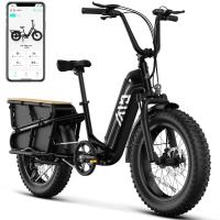 China Electric Bike 20 Inch Fat Tire Multi-Purpose Long Tail Cargo Rack E-Bike for Family, Kids, Pets, Short Trips for sale