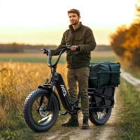 China 20 Inch Fat Tire  Rack for Carrying Goods & Passengers, Powerful Motor, Long Range Long Tail Electric Bike with Cargo for sale