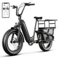 China 20 Inch Fat Tire  Rack for Carrying Goods & Passengers, Powerful Motor, Long Range Long Tail Electric Bike with Cargo for sale