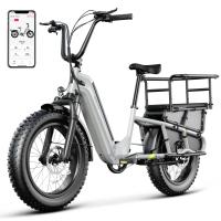 China 20 Inch Fat Tire  Rack for Carrying Goods & Passengers, Powerful Motor, Long Range Long Tail Electric Bike with Cargo for sale
