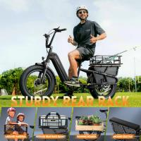 China 20 Inch Fat Tire  Rack for Carrying Goods & Passengers, Powerful Motor, Long Range Long Tail Electric Bike with Cargo for sale