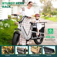 China 20 Inch Fat Tire  Rack for Carrying Goods & Passengers, Powerful Motor, Long Range Long Tail Electric Bike with Cargo for sale