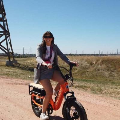 China Family 48V 250W Lithium Battery Disc Brake Aluminum Alloy Frame Electric Cargo Bike Front Box Long Tail Brushless Motor 7-Speed for sale