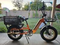 China Family 48V 250W Lithium Battery Disc Brake Aluminum Alloy Frame Electric Cargo Bike Front Box Long Tail Brushless Motor 7-Speed for sale