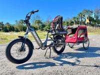 China Family 48V 250W Lithium Battery Disc Brake Aluminum Alloy Frame Electric Cargo Bike Front Box Long Tail Brushless Motor 7-Speed for sale