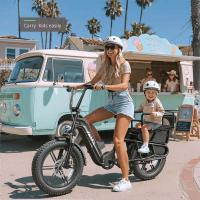 China Hot Sale Carbon Steel Frame 7-Speed Double Lithium Battery 20 Inch Hydraulic Disc Brakes 48V/250W Rear Hub Motor Cargo Bike for sale