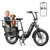China Hot Sale Carbon Steel Frame 7-Speed Double Lithium Battery 20 Inch Hydraulic Disc Brakes 48V/250W Rear Hub Motor Cargo Bike for sale