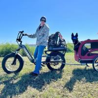 China 2025 Wholesale 750W  48V 15Ah Battery for Grocery Delivery  Family Transportation 20  Fat Tire Long Tail Electric Cargo Bike for sale