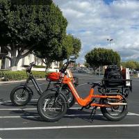 China 2025 Wholesale 750W  48V 15Ah Battery for Grocery Delivery  Family Transportation 20  Fat Tire Long Tail Electric Cargo Bike for sale