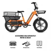 China 2025 Wholesale 750W  48V 15Ah Battery for Grocery Delivery  Family Transportation 20  Fat Tire Long Tail Electric Cargo Bike for sale