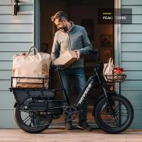 China All in One E-Bike Kit Convert Your Cargo Bike Fat Tire Electric Drive System Long Range Touring Fat Tire Cargo E-Bike for sale