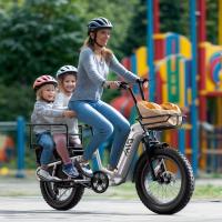 China Safe Cargo E-bike 20inch Electric Cargo Bike 3.0 Fat Tire Bike 250W Front Suspension Electric Bike Moped-style Family Bike for sale