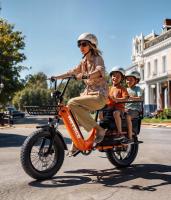 China Wholesale Stock Yeestep Electric Bike Family Ebike Snow Bike Electric Sport Beach Sand Mountain Offroad 7 Speed Cargo Ebike for sale