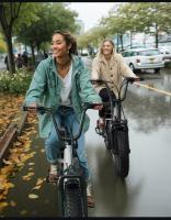 China Wholesale Stock Yeestep Electric Bike Family Ebike Snow Bike Electric Sport Beach Sand Mountain Offroad 7 Speed Cargo Ebike for sale