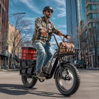 China Family 48v 750w Electric Bike  Carry Kids  Front Near Box  Family Long Tail  Ebike Velo  Cargo for Pets  Camping for sale