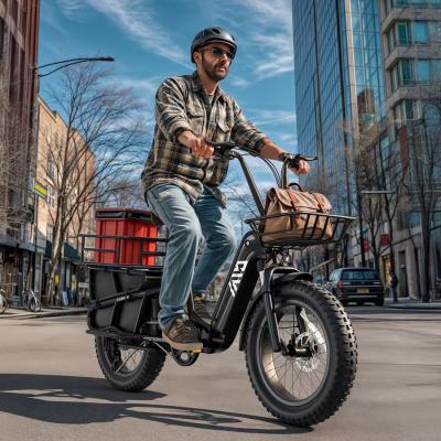 China Family 48v 750w Electric Bike  Carry Kids  Front Near Box  Family Long Tail  Ebike Velo  Cargo for Pets  Camping for sale