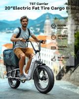 China Family 48v 750w Electric Bike  Carry Kids  Front Near Box  Family Long Tail  Ebike Velo  Cargo for Pets  Camping for sale