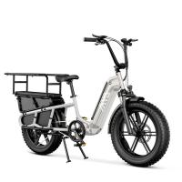 China 20 Inch Long Tail Electric Cargo Bike 48V Folding Urban Commuter Ebike for Family Kids Pets Large Rack City Transport for sale