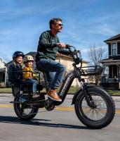 China Adult Cargo Bike for Commercial Use 200KG Heavy Load 1000W High-Torque Motor Battery Dual Disc Brakes for sale