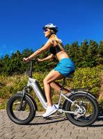 China EU 48v 20inch 4.0 Fat Tire Folding Battery Wheel Ebike Electric Bicycle E Bike With Suspension for sale