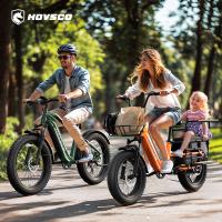 China Family-Friendly Fat Tire Electric Bike Rear Hub Motor 48V 15Ah Lithium Battery Aluminum Frame for Delivery Includes Rear Rack for sale