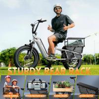China Family Cargao 20''*4.0 Electric Bike 1500W Motor 48v Moped-style Fat Tire Brushless Disc Power Lithium Battery for sale