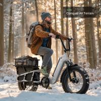 China Family Cargao 20''*4.0 Electric Bike 1500W Motor 48v Moped-style Fat Tire Brushless Disc Power Lithium Battery for sale