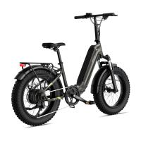 China Hot Sale EU AUS UK Warehouse Lithium Battery Folding Electric Bike Foldable Fat Tire E-Bike for Car and City Work for sale