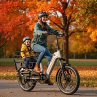 China OEM  ODM 250w 48V 15AH  Fat Tire Hub Motor Family Electric Cargo Hybrld Bike Electric City Bicycle Ebike for sale