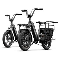 China Eu  Electric Bike TST Ebike Long Range E Bike Large Capacity Fat Tire  Alloy 250w 15ah Cargo E Bikes for sale