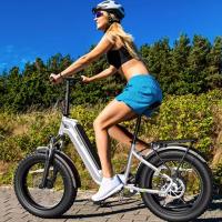 China 20 Inch Folding Fat Tire Electric Bike, Portable E-Bike for City Commute and Outdoor Adventure  750W 48v 15AH for sale
