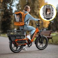 China Eu  Electric Bike TST Ebike Long Range E Bike Large Capacity Fat Tire  Alloy 250w 15ah Cargo E Bikes for sale