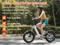 China 20 Inch Folding Fat Tire Electric Bike, Portable E-Bike for City Commute and Outdoor Adventure  750W 48v 15AH for sale