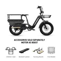 China Eu  Electric Bike TST Ebike Long Range E Bike Large Capacity Fat Tire  Alloy 250w 15ah Cargo E Bikes for sale