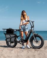 China 20 Inch Fat Tire  Rack for Carrying Goods & Passengers, Powerful Motor, Long Range Long Tail Electric Bike with Cargo for sale