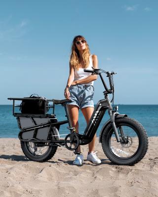 China 20 Inch Fat Tire  Rack for Carrying Goods & Passengers, Powerful Motor, Long Range Long Tail Electric Bike with Cargo for sale