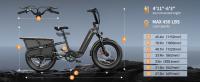 China 20 Inch Fat Tire  Rack for Carrying Goods & Passengers, Powerful Motor, Long Range Long Tail Electric Bike with Cargo for sale