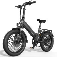 China Customized F00B Electric Fatbike 20'' Electric Folding Bike Foldable Electric Bike with 450W Motor Fat Tyre Dirt Bicycle for sale