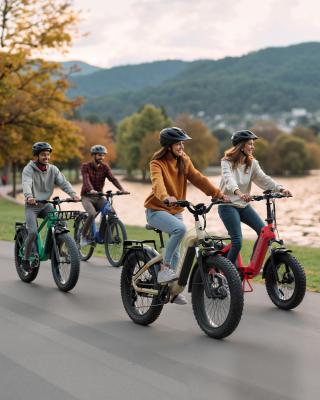 China Family Electric Bike EU UK Stock 80km Range Aluminum 15Ah 20Ah Fat Tire Legal Off-Road Use Rear Hub Brushless Lithium Battery for sale