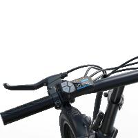 China Customized F00B Electric Fatbike 20'' Electric Folding Bike Foldable Electric Bike with 450W Motor Fat Tyre Dirt Bicycle for sale