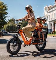 China Cargo Delivery Fat Tire Ebike with Rear Rack Heavy Duty Design Rear Basket for Delivery for sale