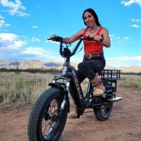 China Hunting Fat Tire Ebike with Cargo Rack and Dual Battery Long Range with LED Lights 48V 15Ah Battery Bike for sale
